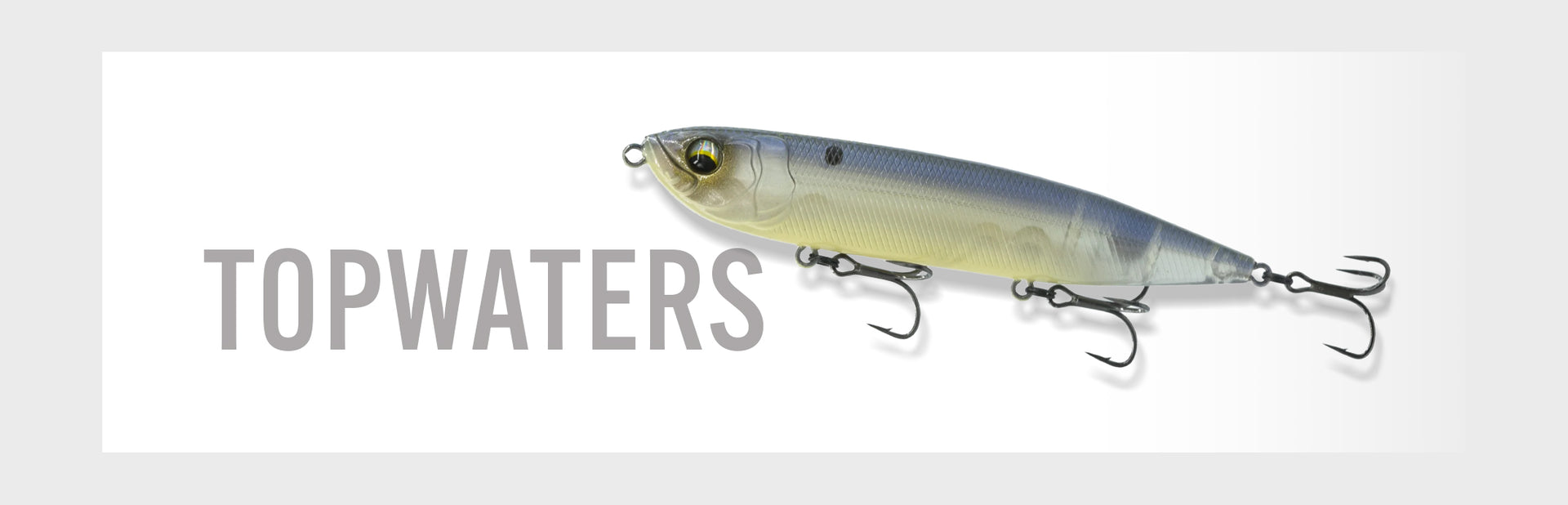 Shad Spawn Collection – 6th Sense Fishing