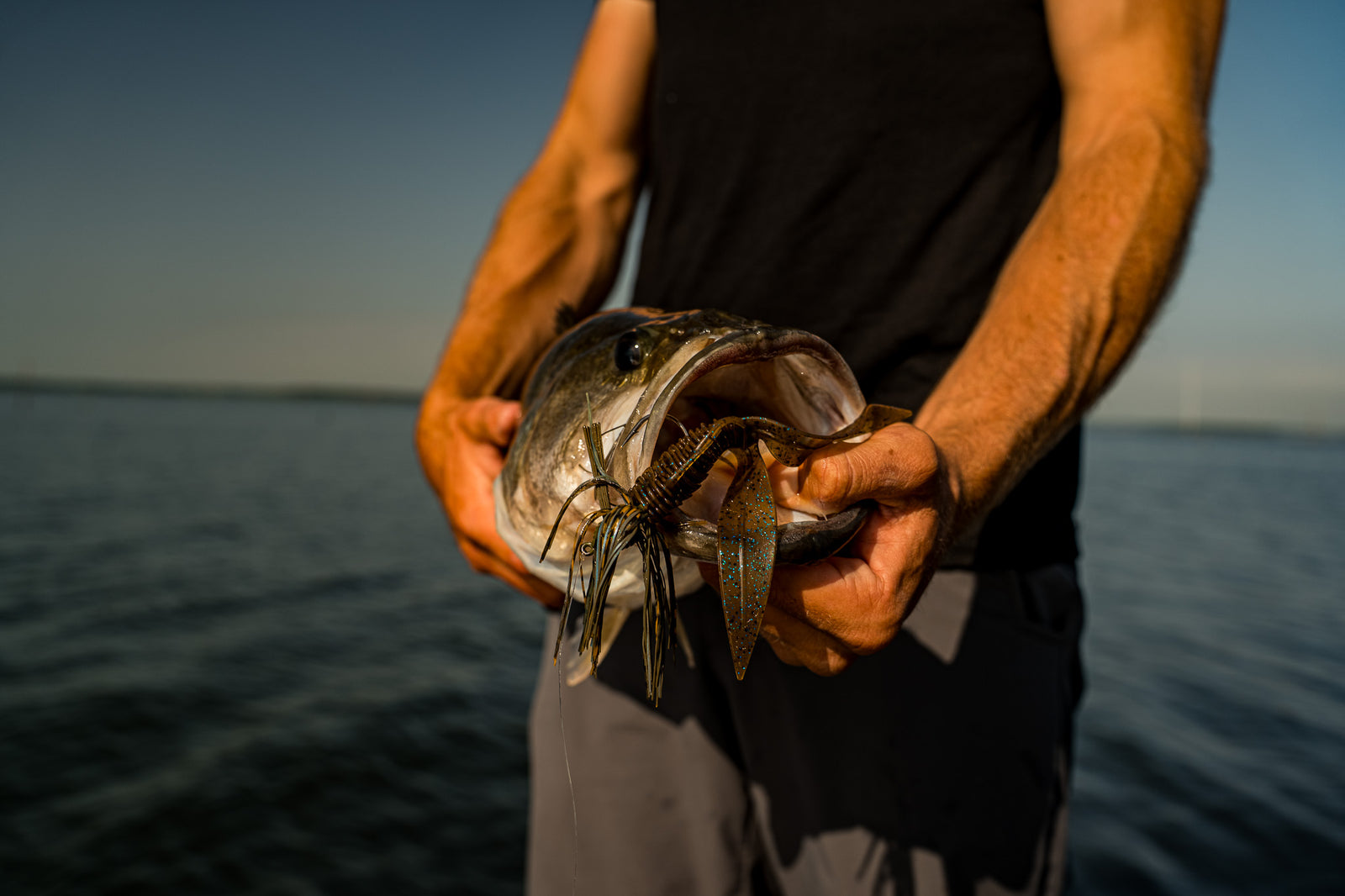 Bodega – 6th Sense Fishing