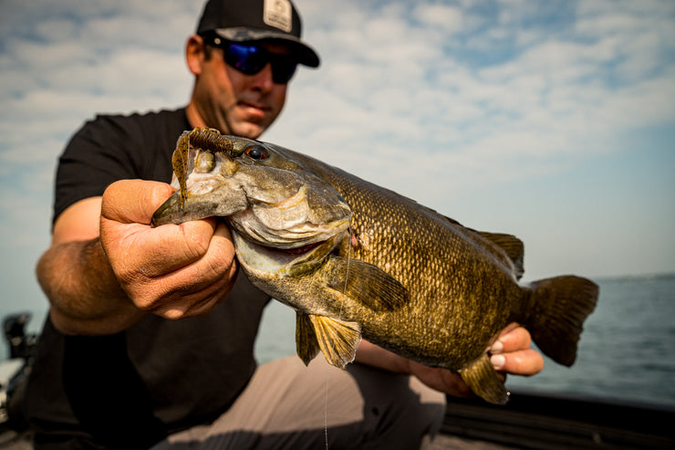 Bodega – 6th Sense Fishing