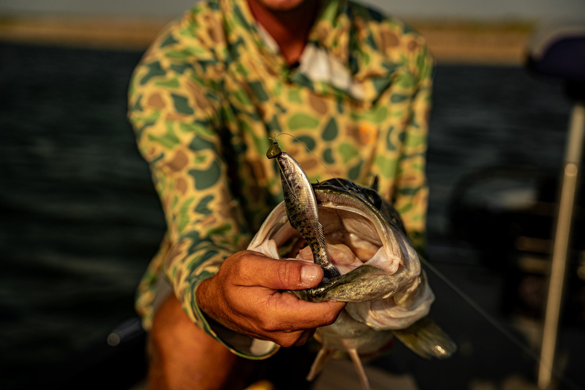 6th Sense Fishing - Soft Plastics - Panorama