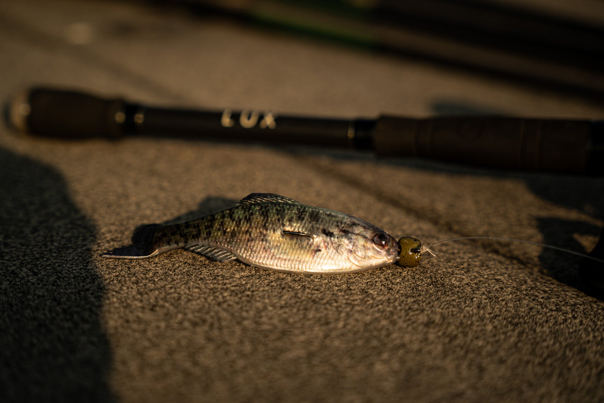 6th Sense Fishing - Soft Plastics - Panorama