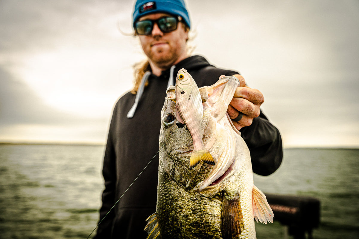 6th Sense Fishing - Soft Plastics - Panorama