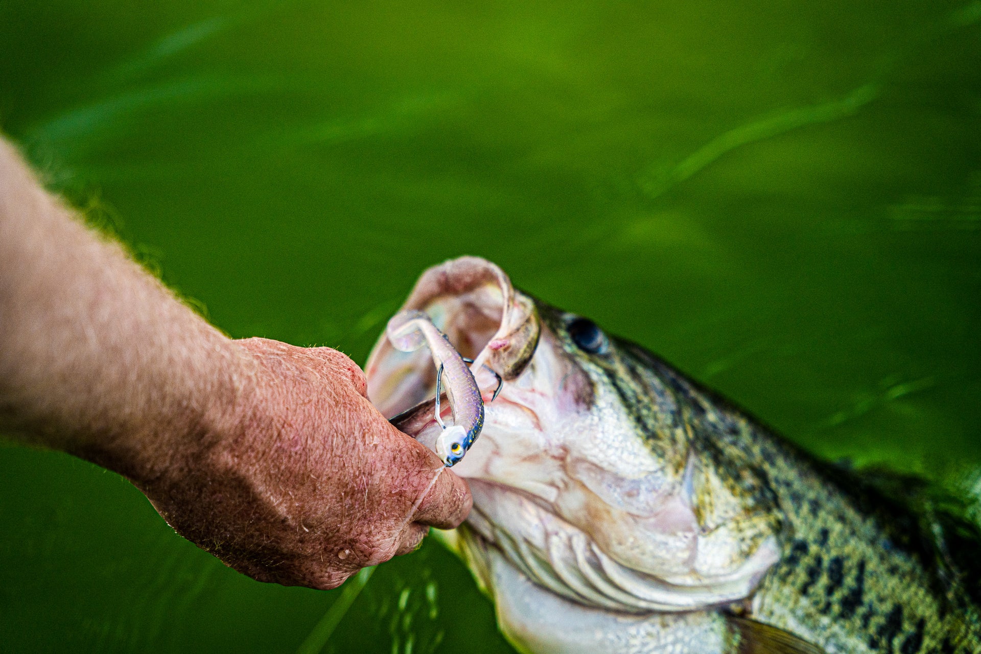 6th Sense Fishing - Terminal Tackle - Axle Underspin