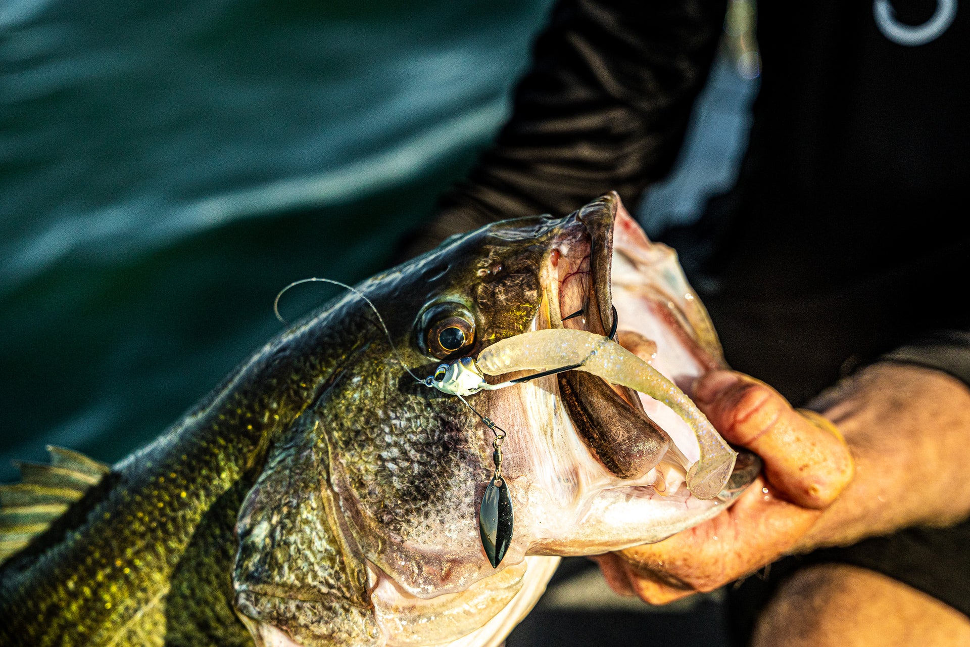 6th Sense Fishing - Terminal Tackle - Axle Underspin