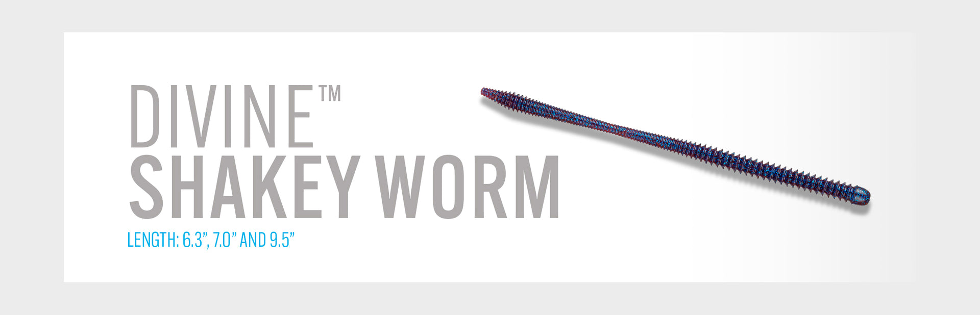 Worms – 6th Sense Fishing