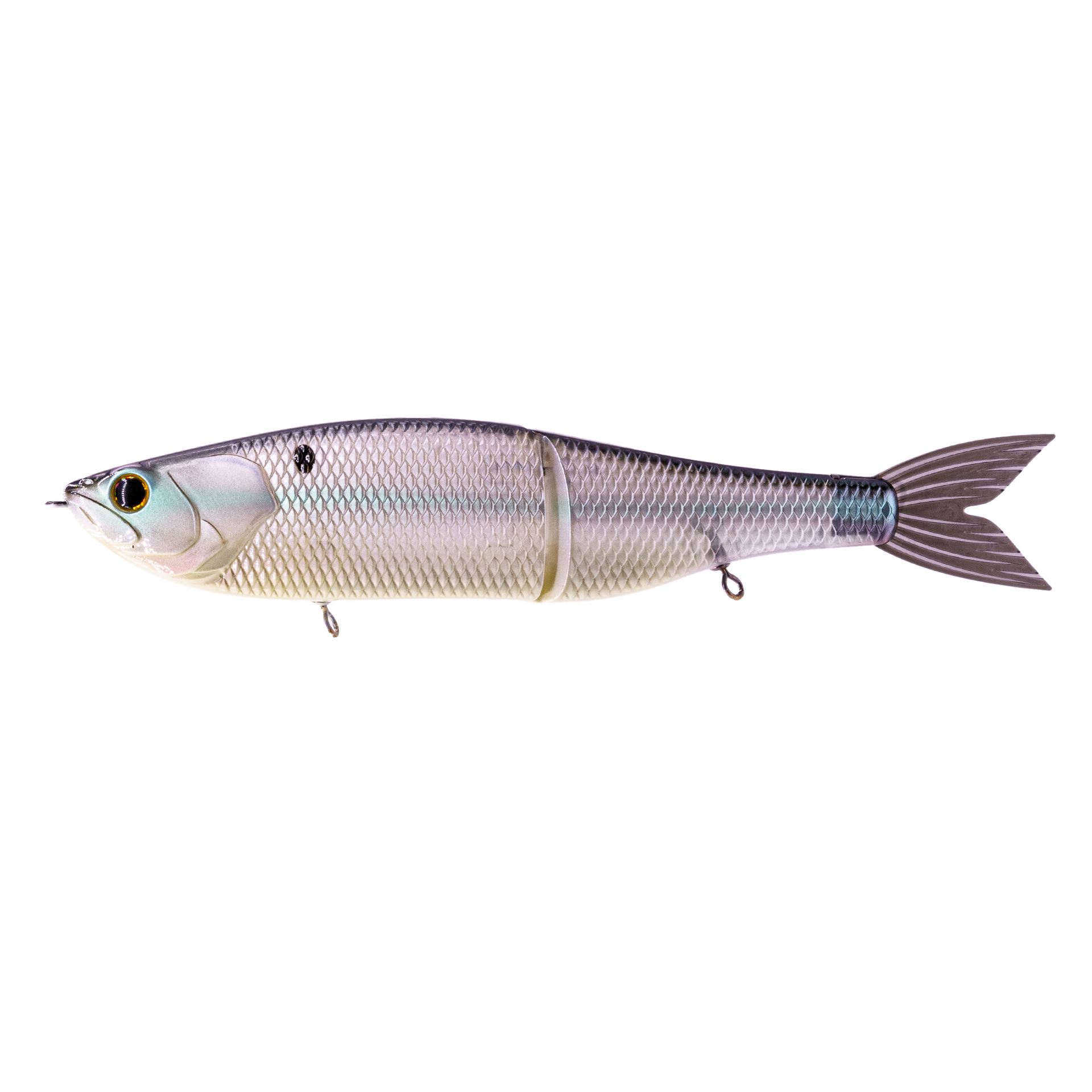 6th Sense Fishing - The Draw