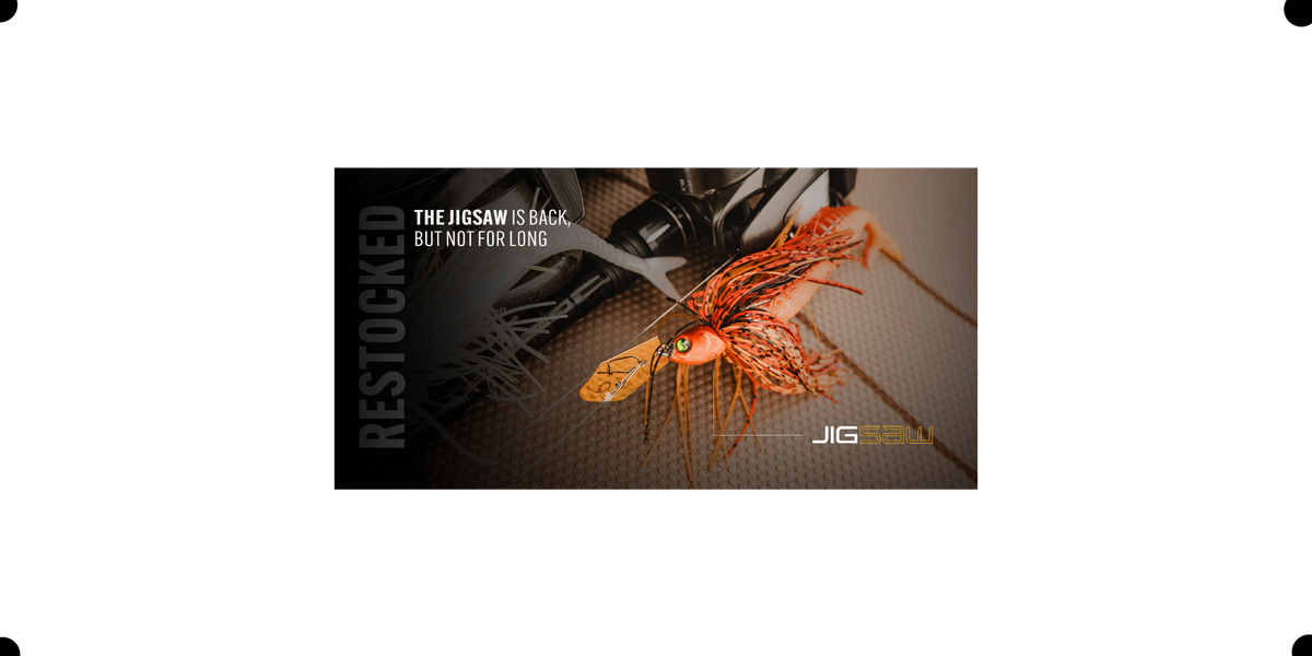 Bodega – 6th Sense Fishing
