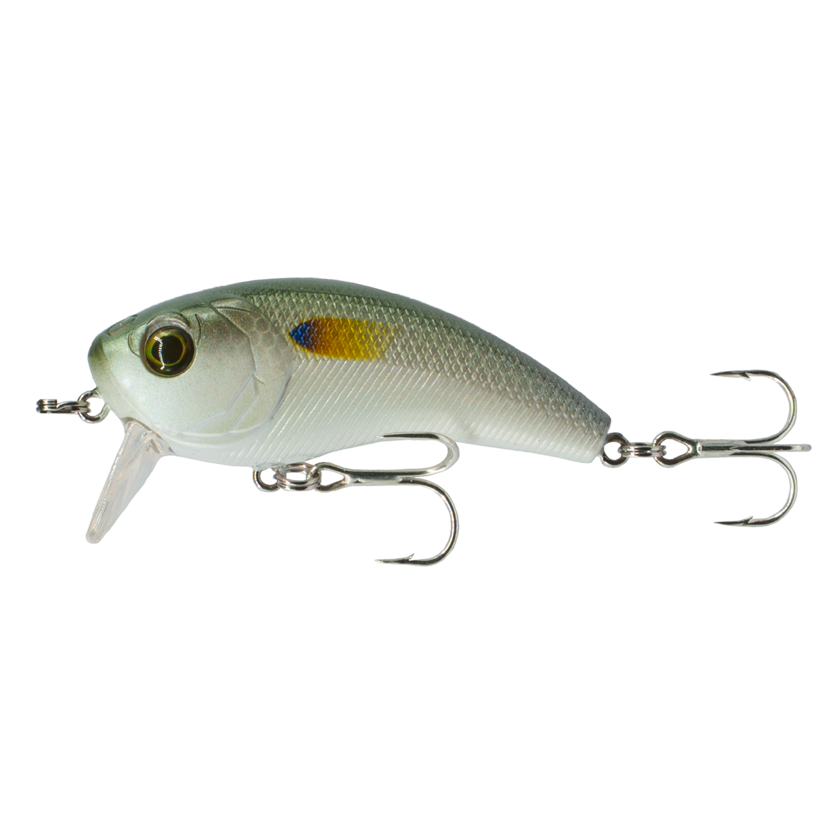 Movement Salt Wake Series - Live Mullet Fishing Lure | 6t... – 6th ...