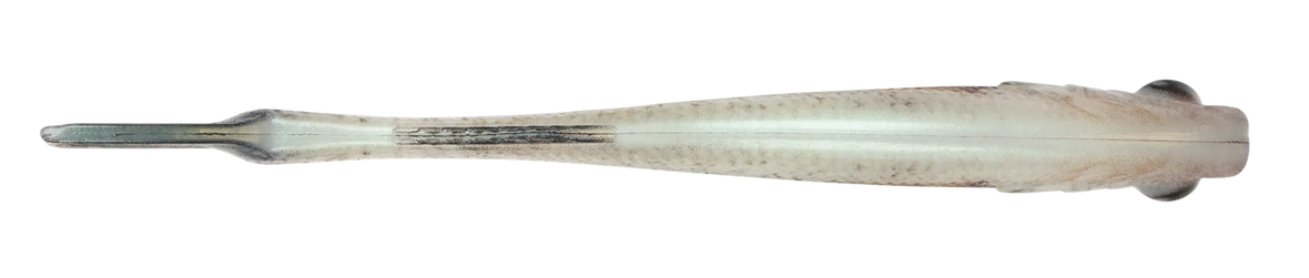 Plump Panorama – 6th Sense Fishing