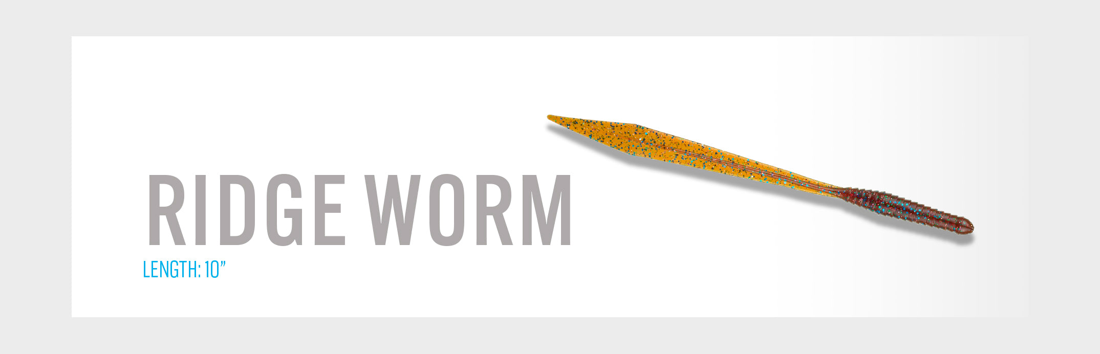 Worms – 6th Sense Fishing