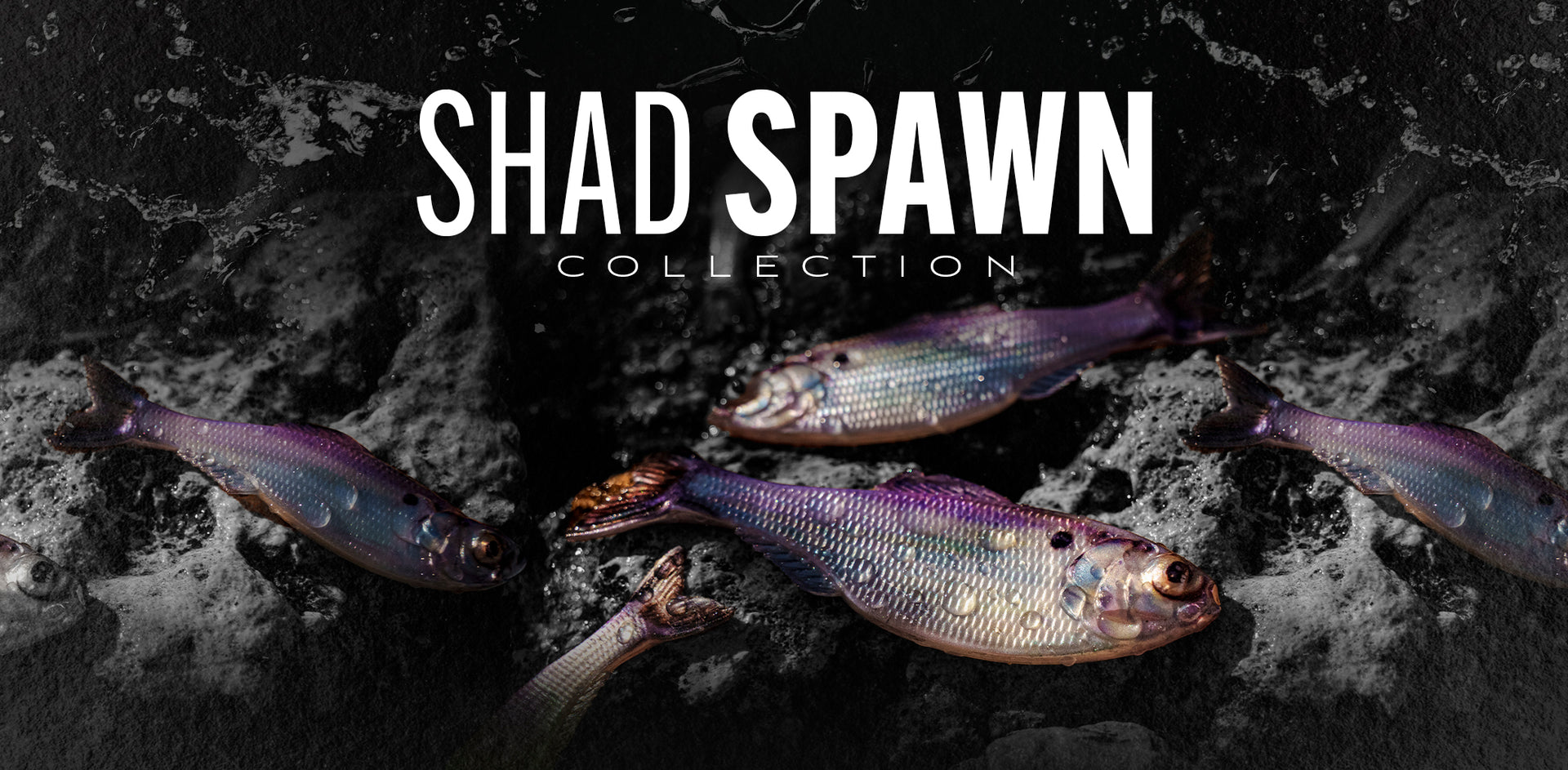 Shad Spawn Collection – 6th Sense Fishing