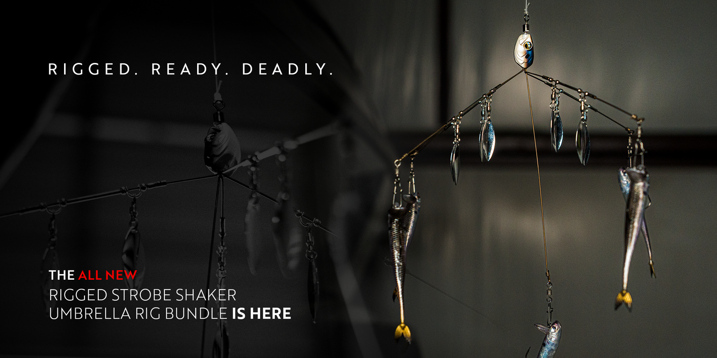 Rigged Strobe Shaker & Umbrella Rig Bundle – 6th Sense Fishing