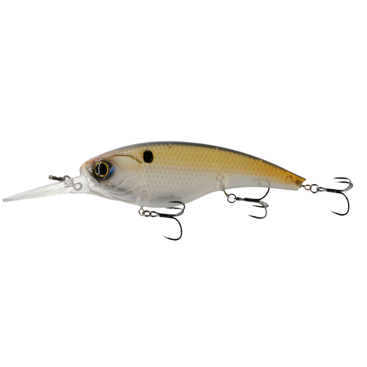 Pump 125DD - Ghost Gizzard – 6th Sense Fishing