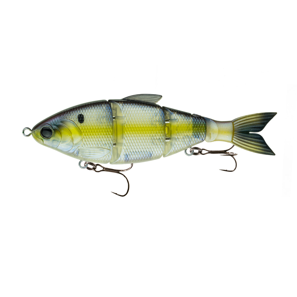 Trace® - Shad Sense – 6th Sense Fishing