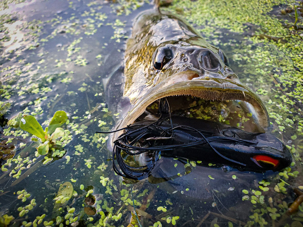 6th Sense Fishing - Vega Frog 70