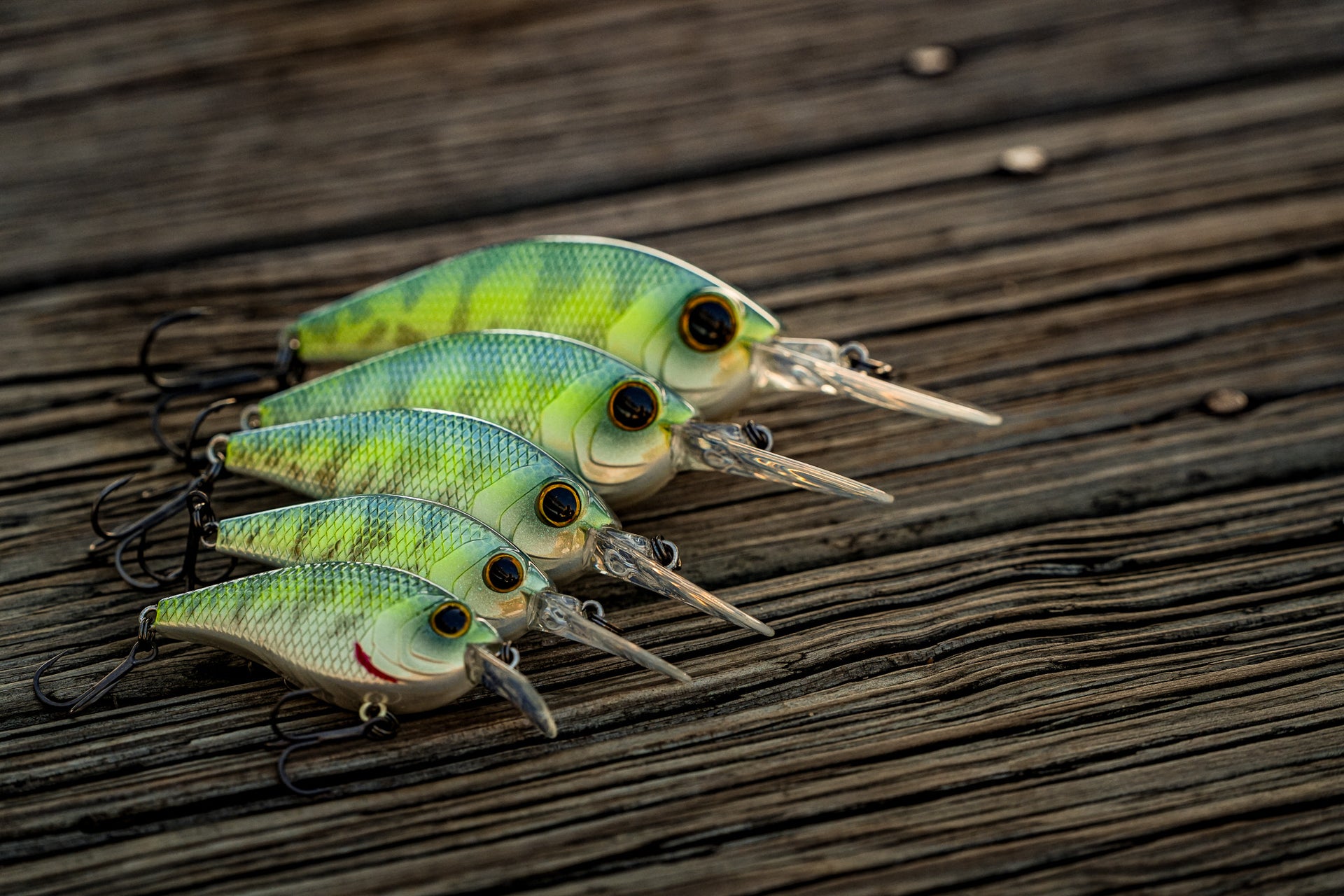 Lee Livesay Collection – 6th Sense Fishing