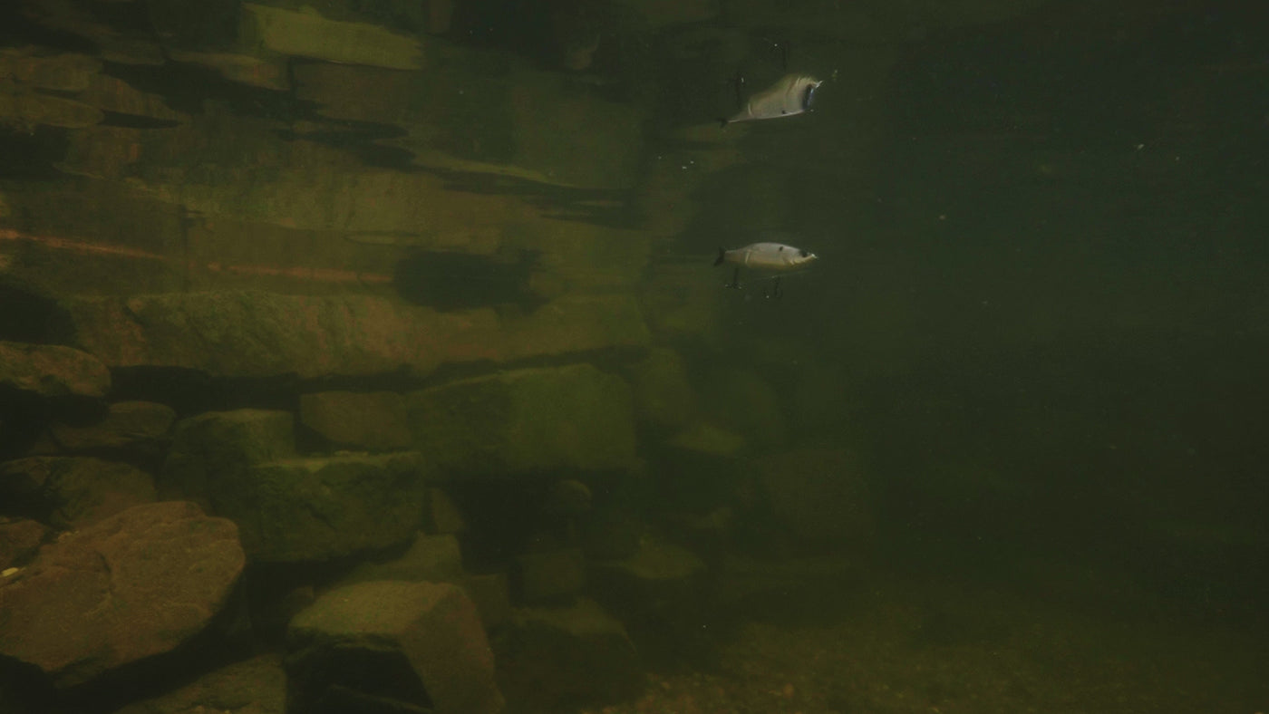 6th Sense Fishing - The Draw Glide Swimbait