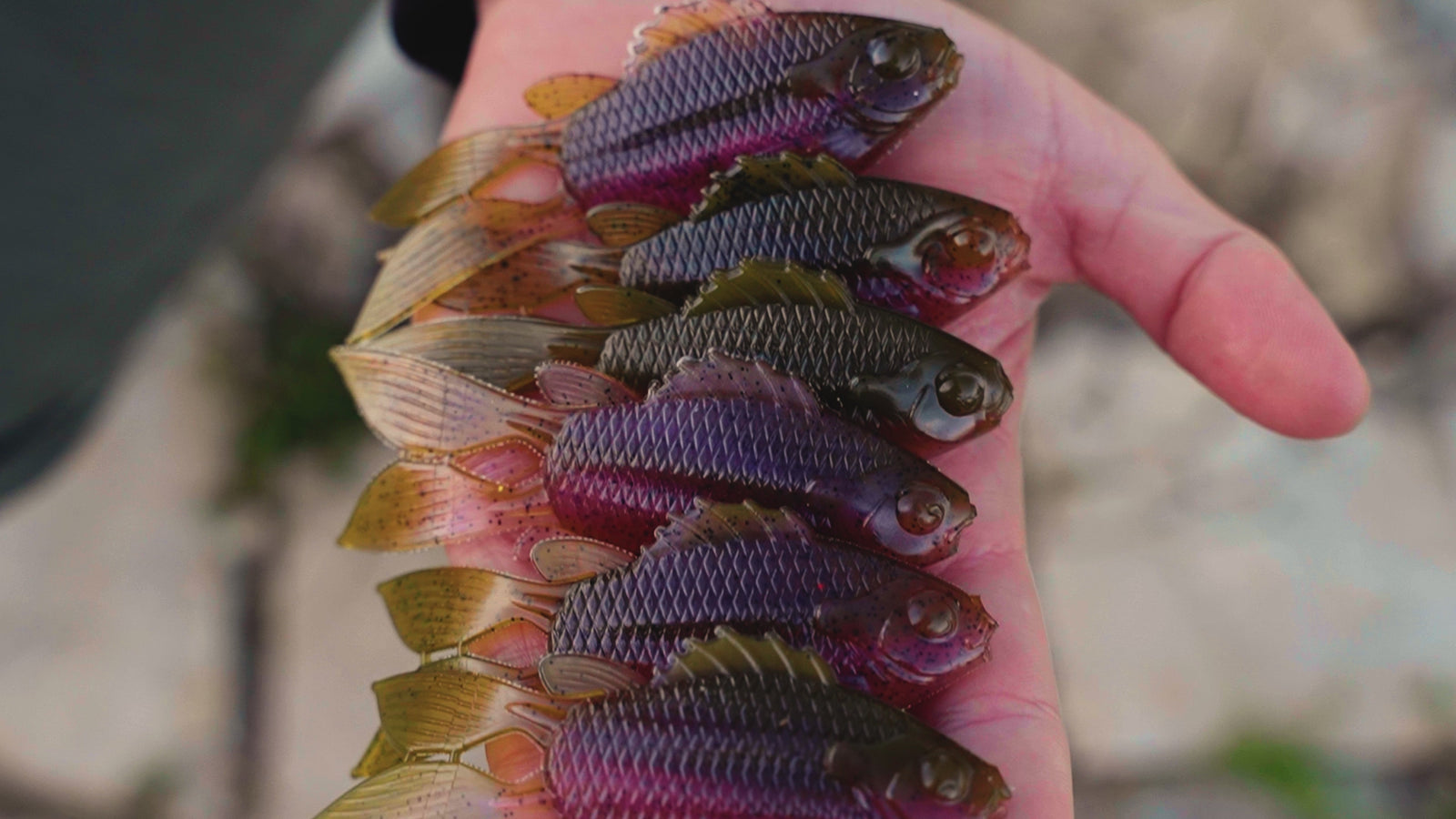 The Gill Series – 6th Sense Fishing