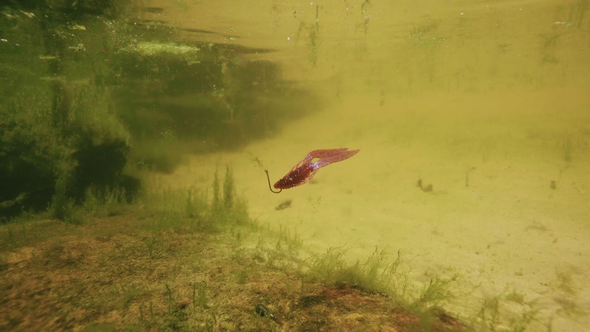 Bodega – 6th Sense Fishing