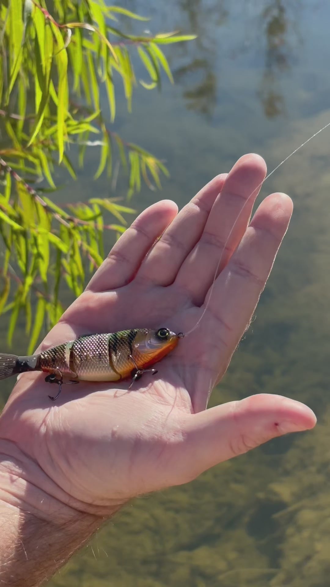 Trace 5" Multi-Jointed Swimbait – Compact, Realistic Action | 6th Sense ...