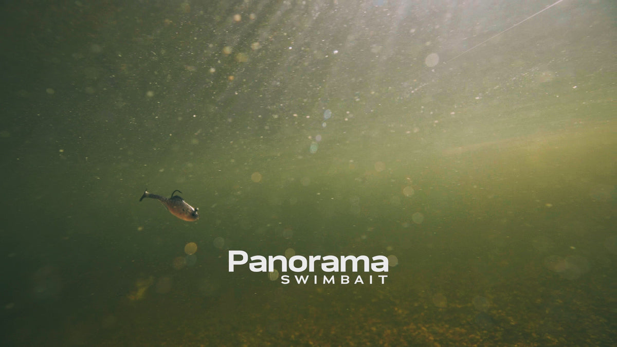 Panorama Swimbait – 6th Sense Fishing