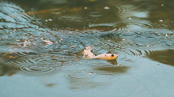 Scramble 106 – 6th Sense Fishing