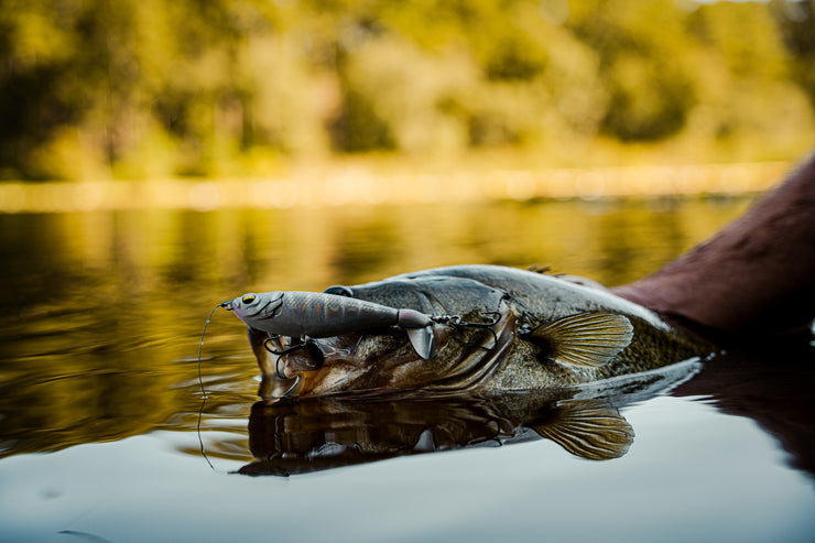 Scramble 106 – 6th Sense Fishing