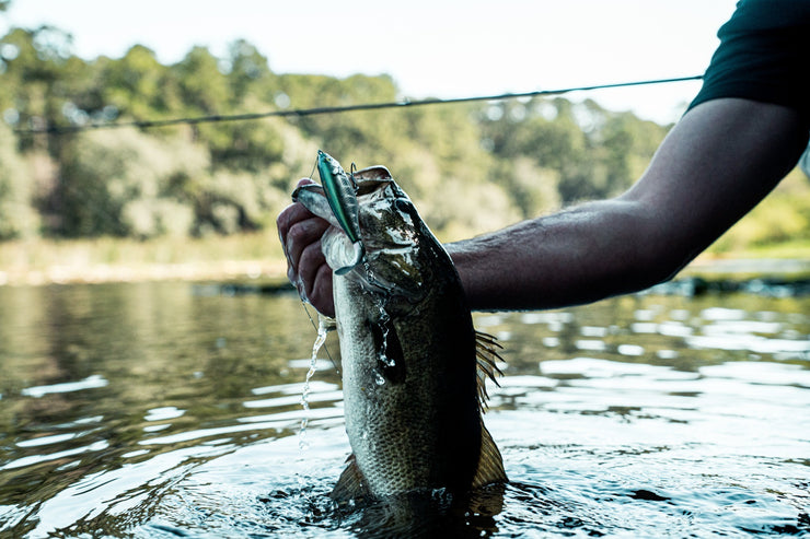 Scramble 106 – 6th Sense Fishing