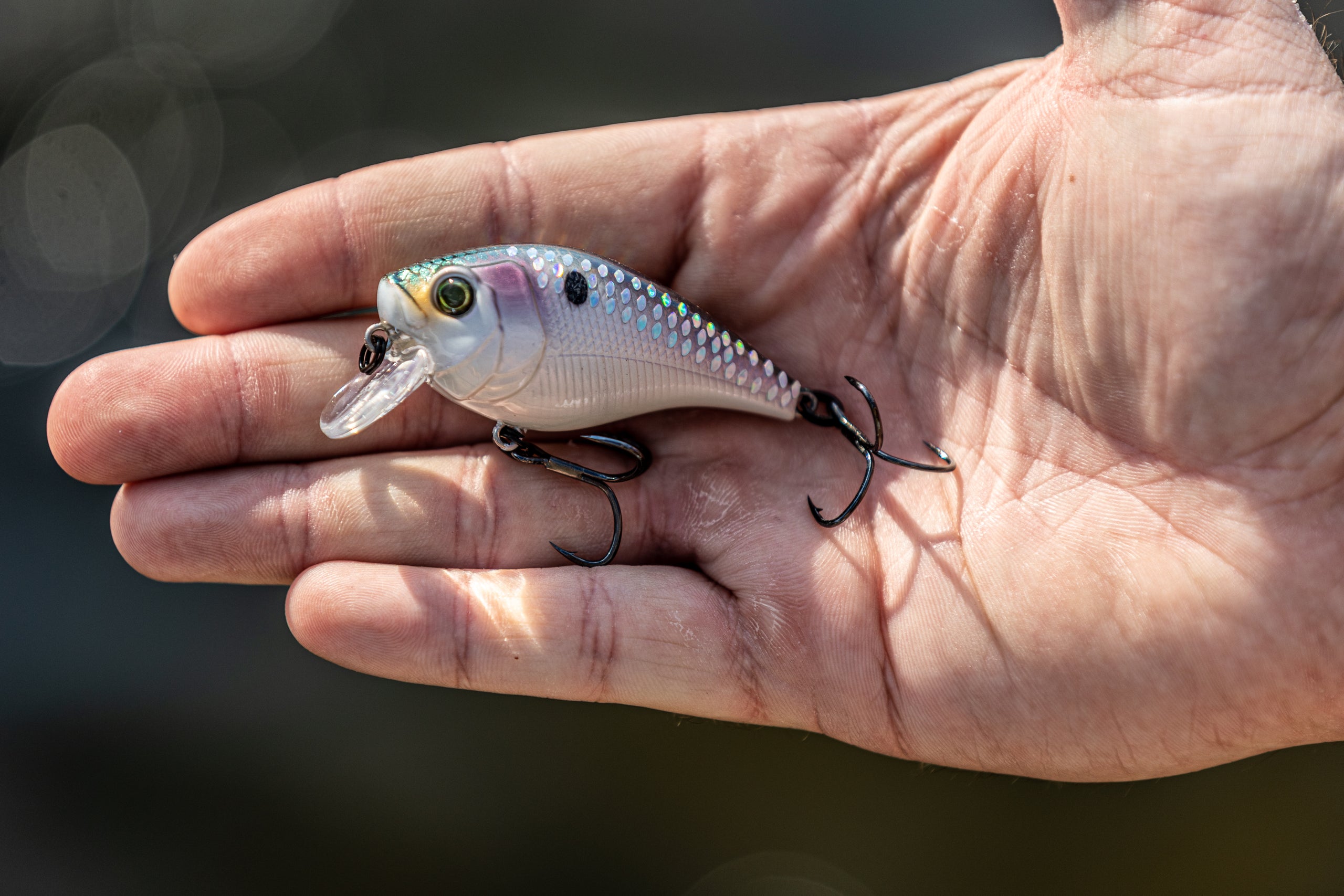 6th Sense Fishing - Shallow Crankbaits - Munch 40