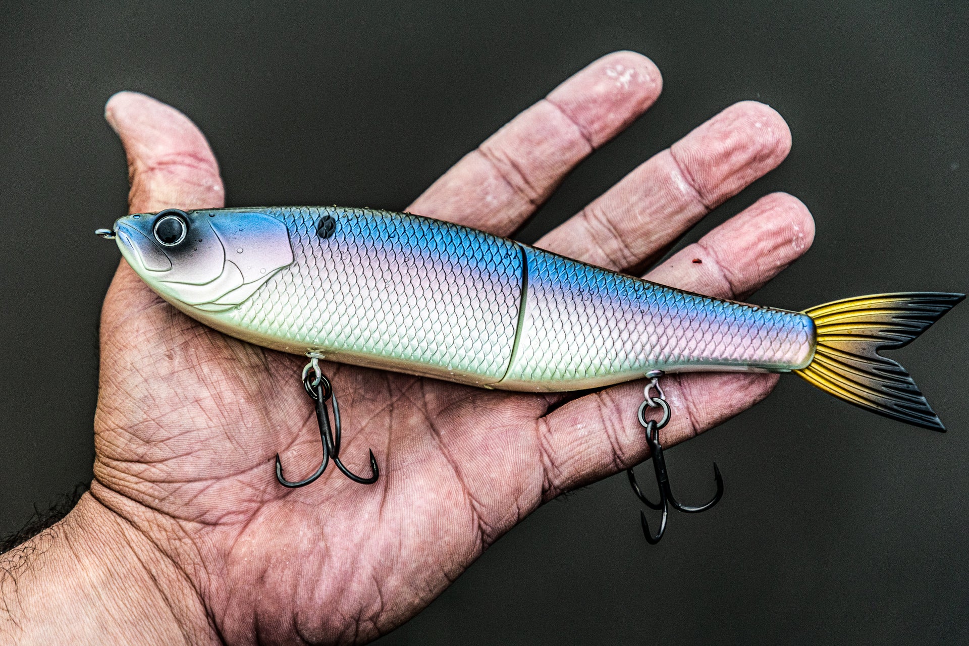 6th Sense Fishing - The Draw
