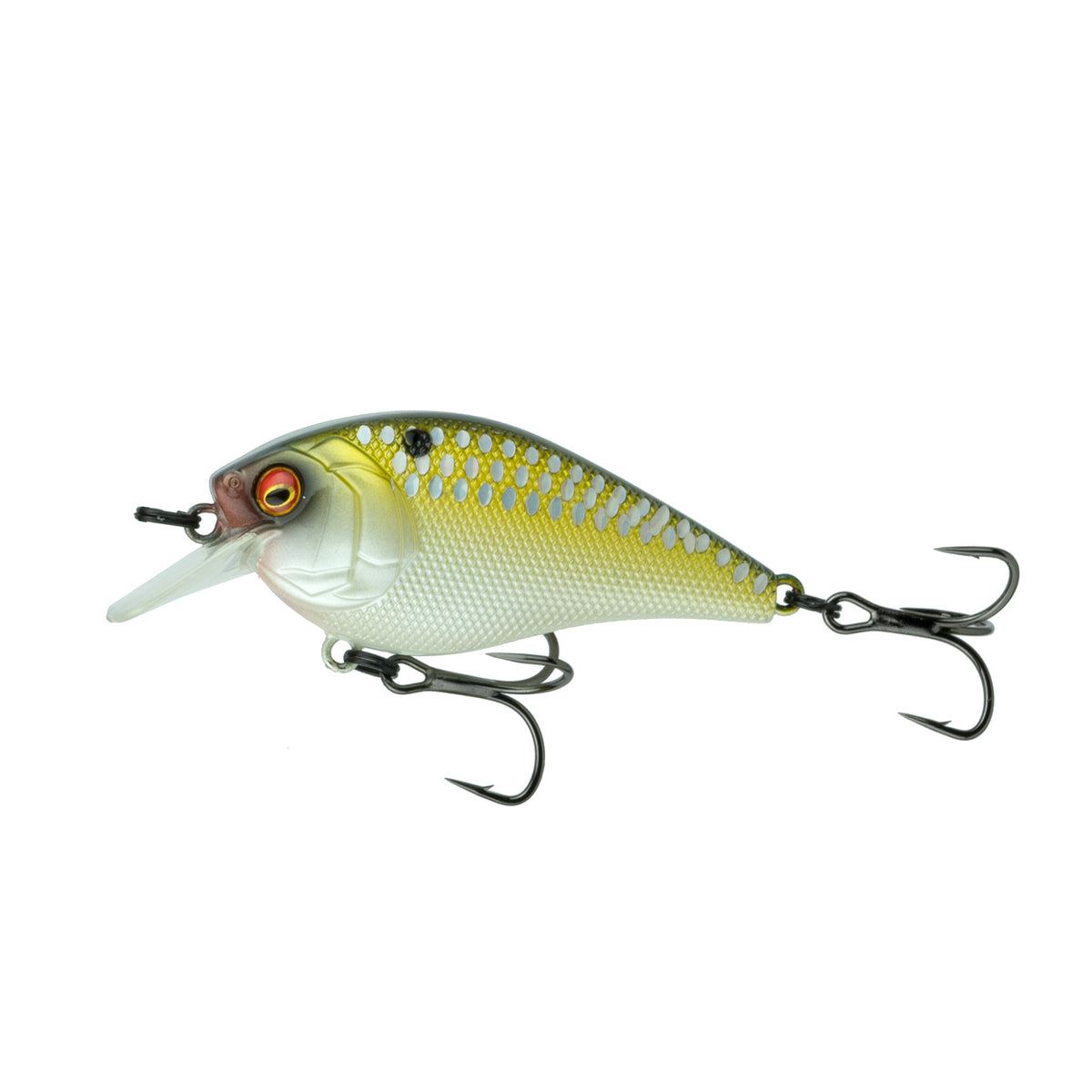 6th Sense Fishing - Pond Fishing Collection