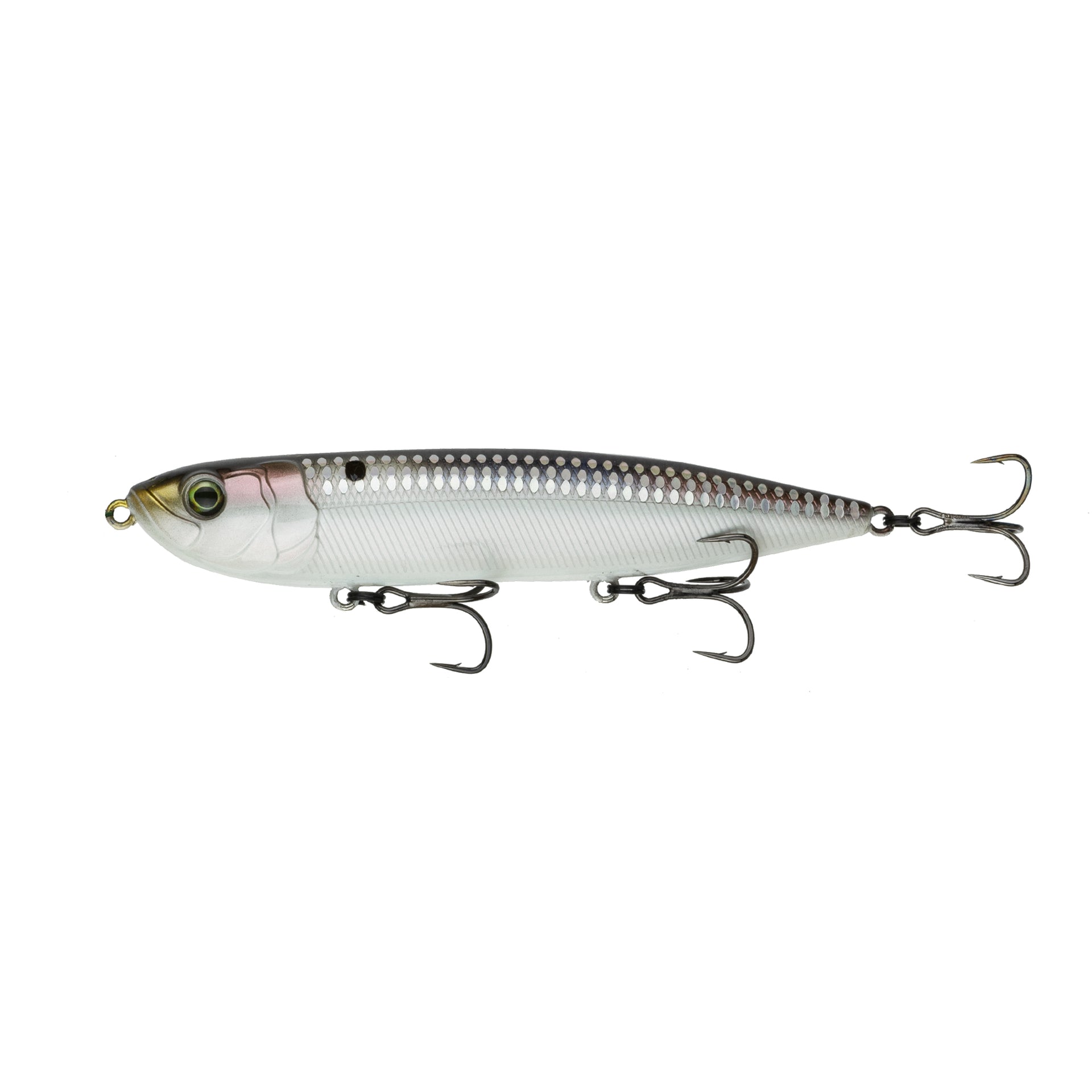 Shad Spawn Collection – 6th Sense Fishing