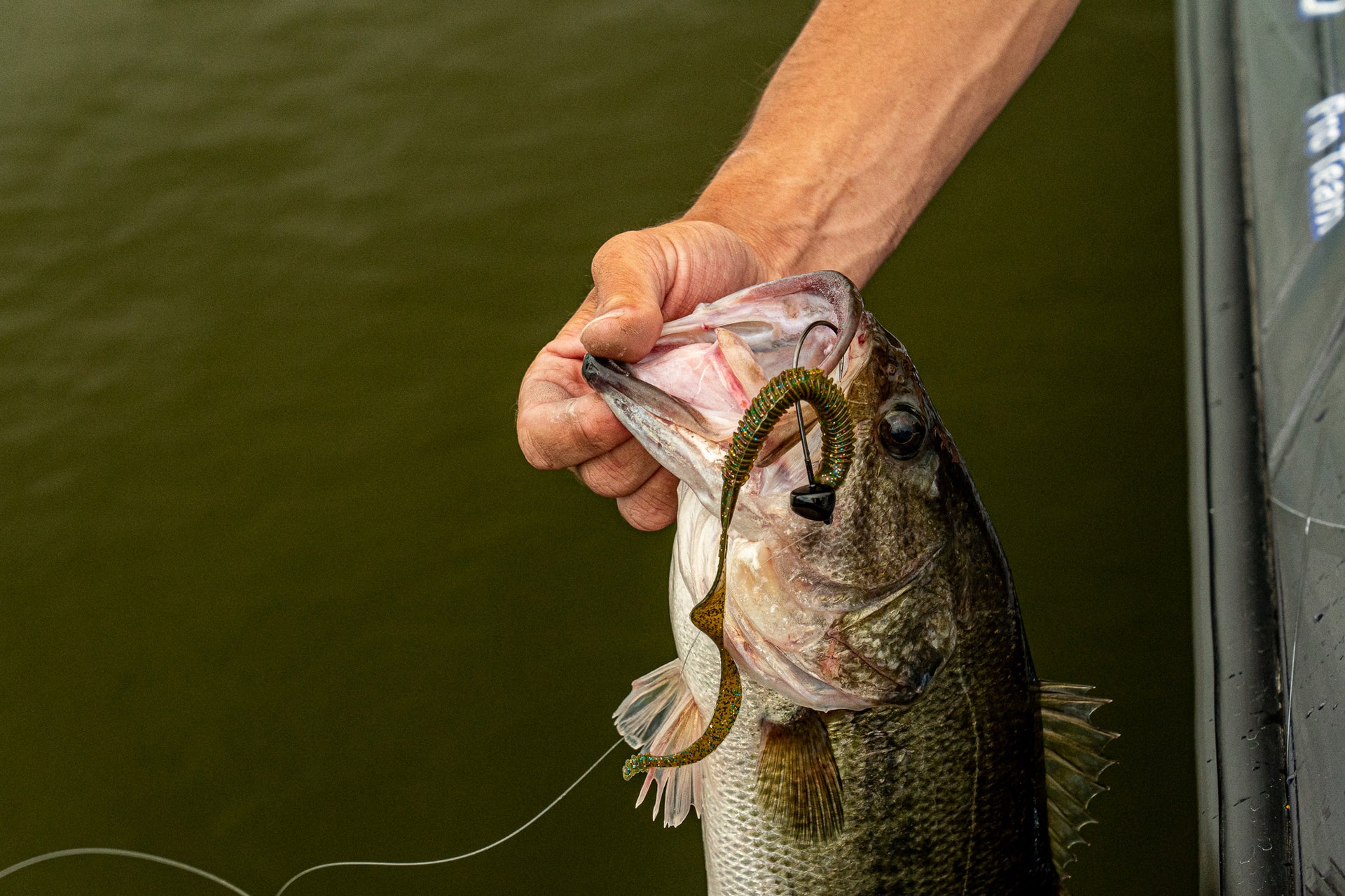 6th Sense Fishing - Soft Plastics - Boosa 9.6 Ribbon Tail