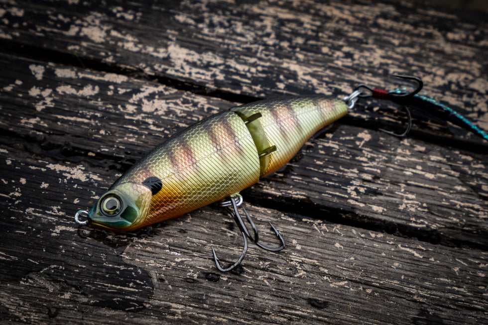 Speed Glide 100 | 6th Sense Fishing